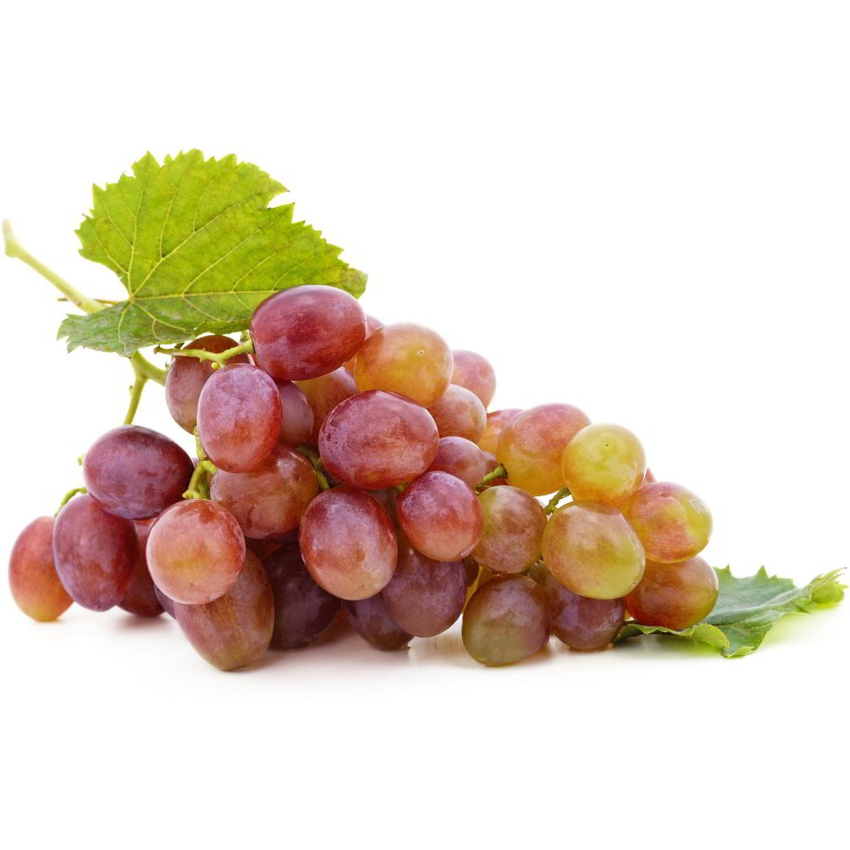Uva rosata